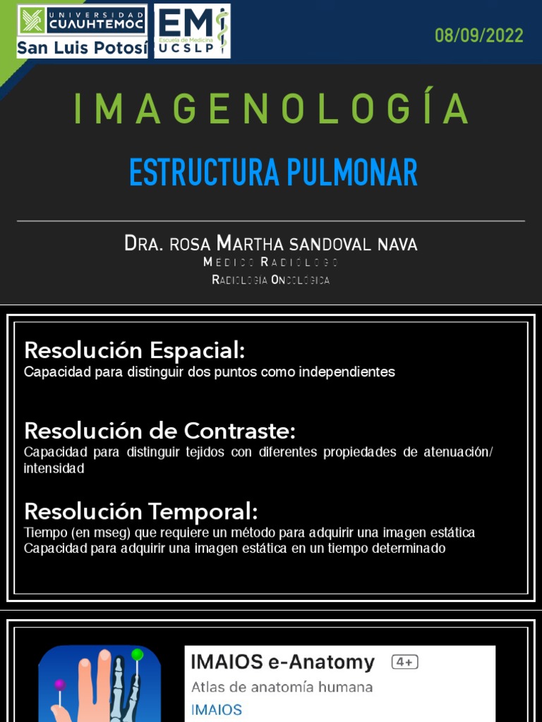 Estructura Pulmonar | PDF | Pulmón | Sistema respiratorio
