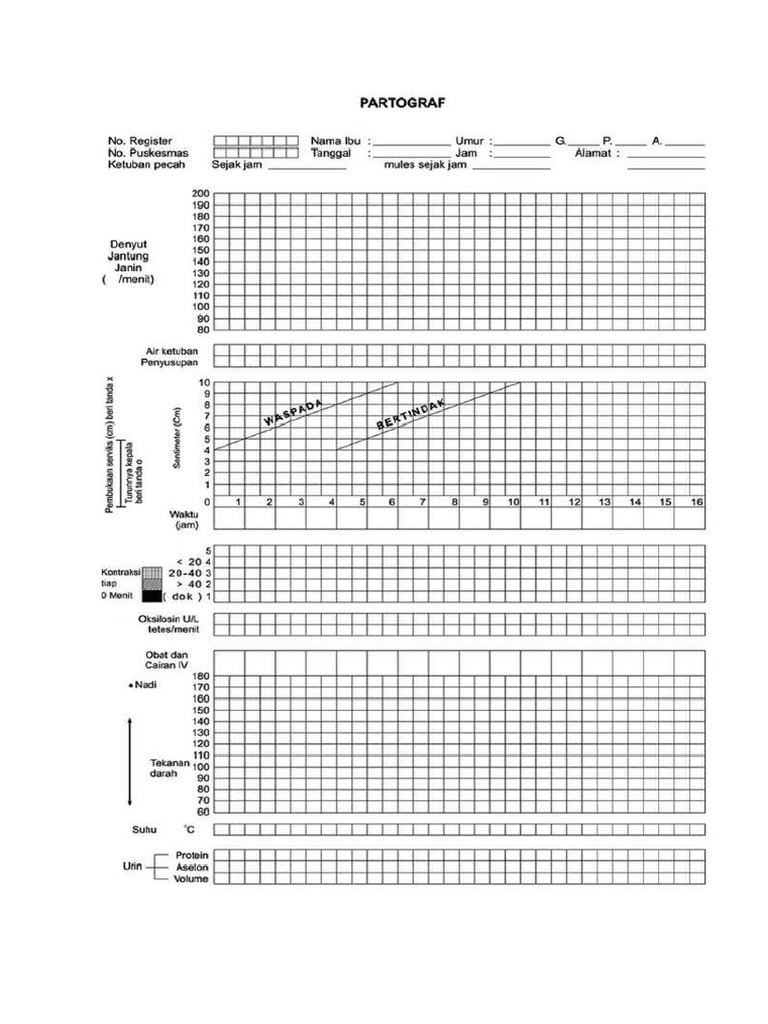 Form Partograf | PDF