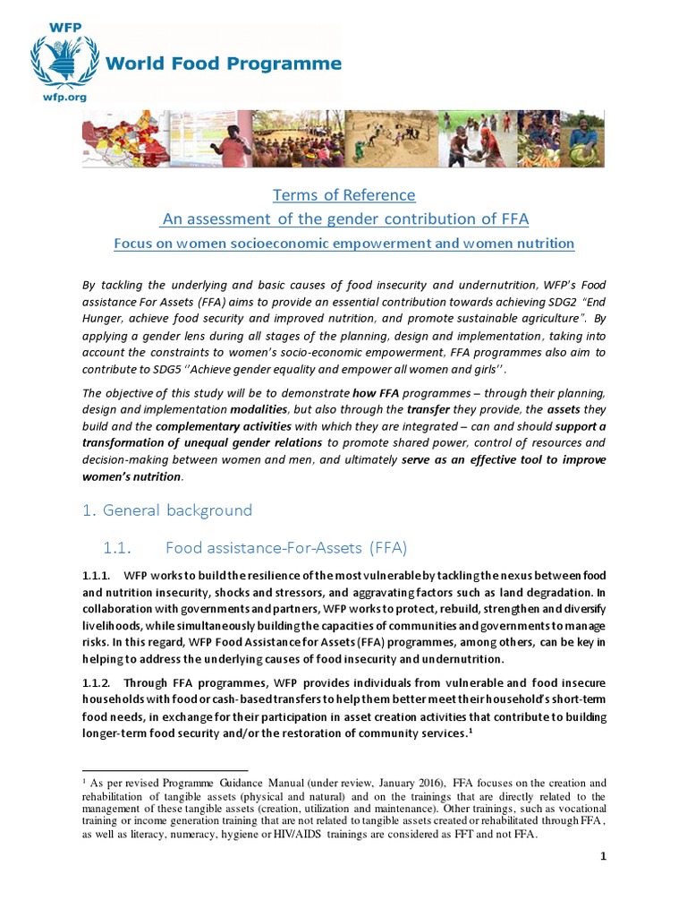 Gender Impact of WFP FFA Programs | PDF | Food Security | World Food ...