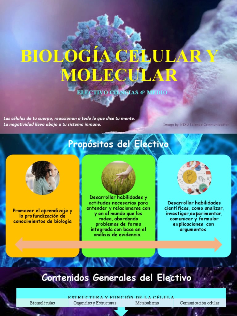 Biologia Celular y Molecular | PDF