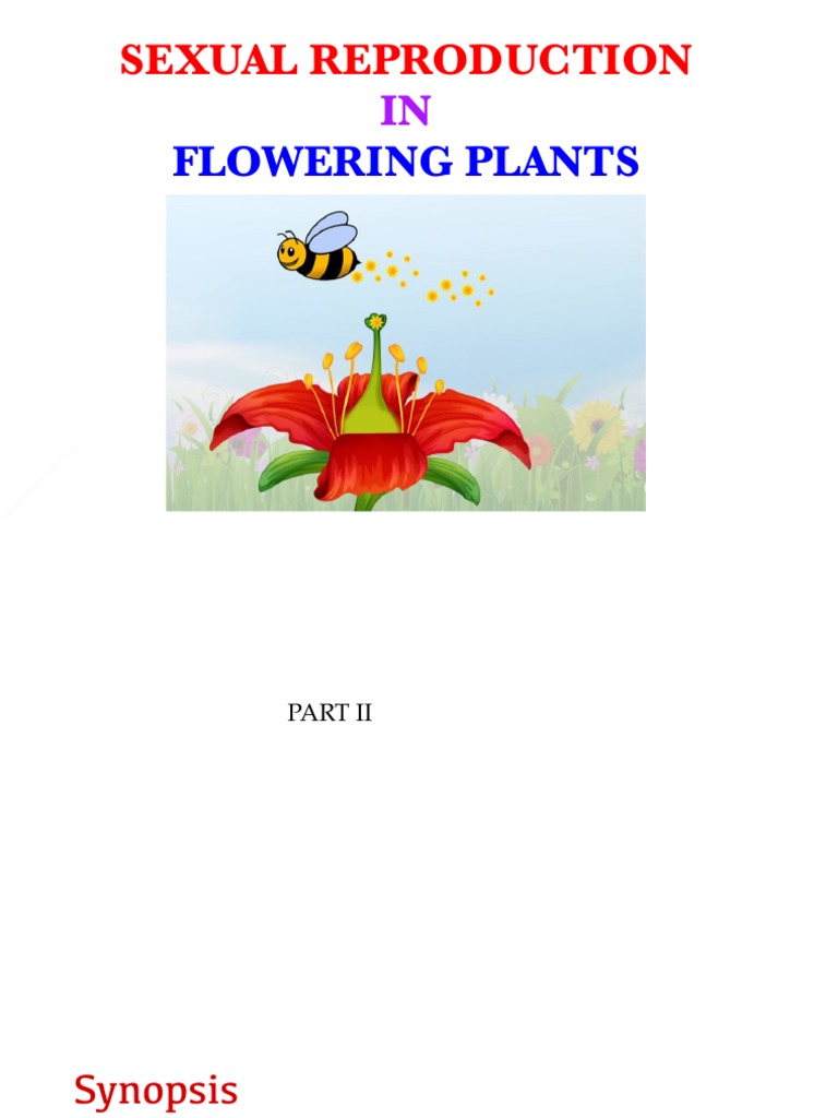 Sexual Reproduction in Flowering Plants I | PDF | Flowers | Biological ...