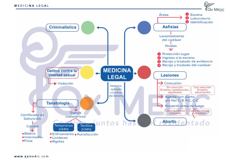 Mapas Mentales - Medicina Legal | PDF