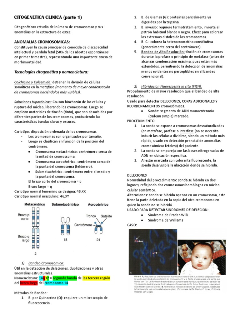 CITOGENETICA CLINICA Parte 1 | PDF | Cromosoma | Citogenética