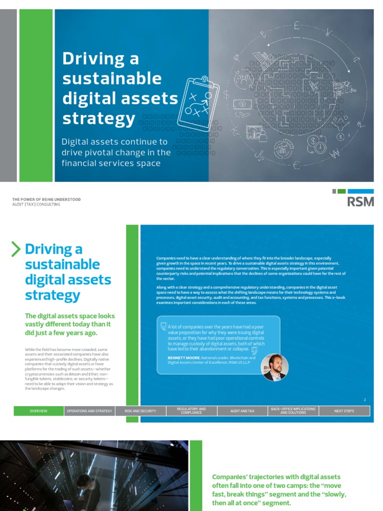 Driving A Sustainable Digital Assets Strategy Ebookv7 | PDF