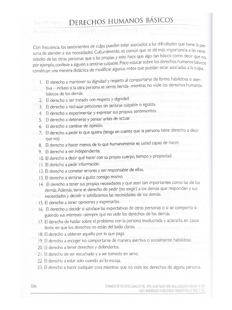Derechos Humanos Basicos | PDF