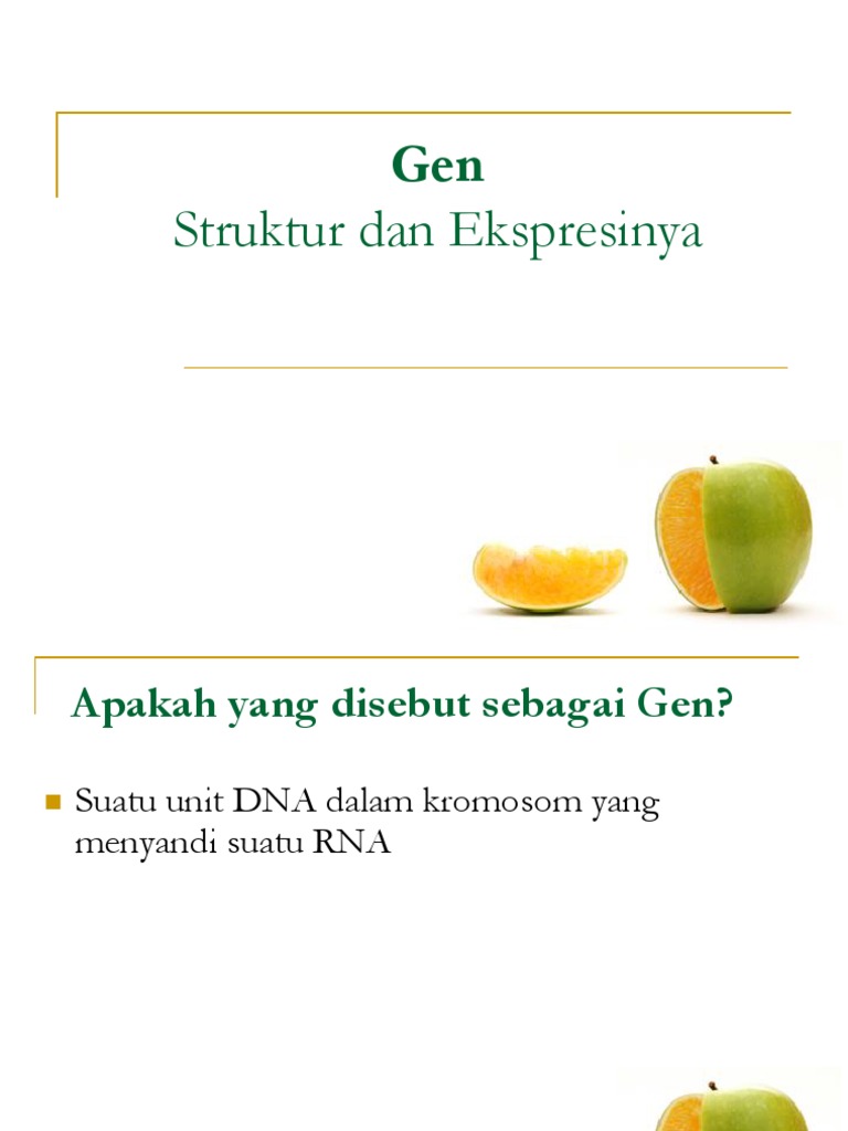 Struktur dan Fungsi Gen Prokaryot-Eukaryot | PDF
