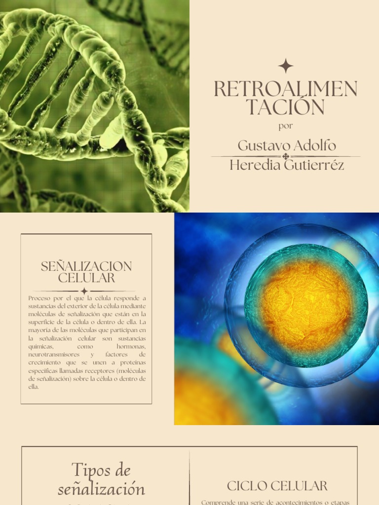 Annotated-Presentaci%C3%B3n Historia Aesthetic Beige Pastel %281%29 ...