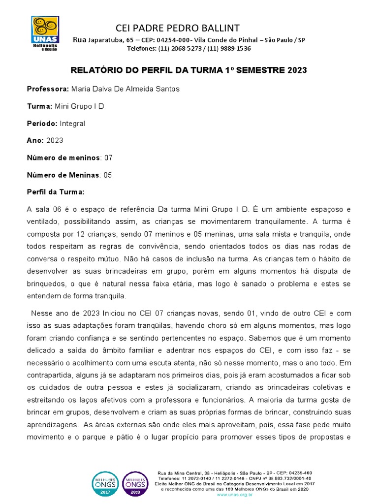 Relatório Do Perfil Da Turma | PDF