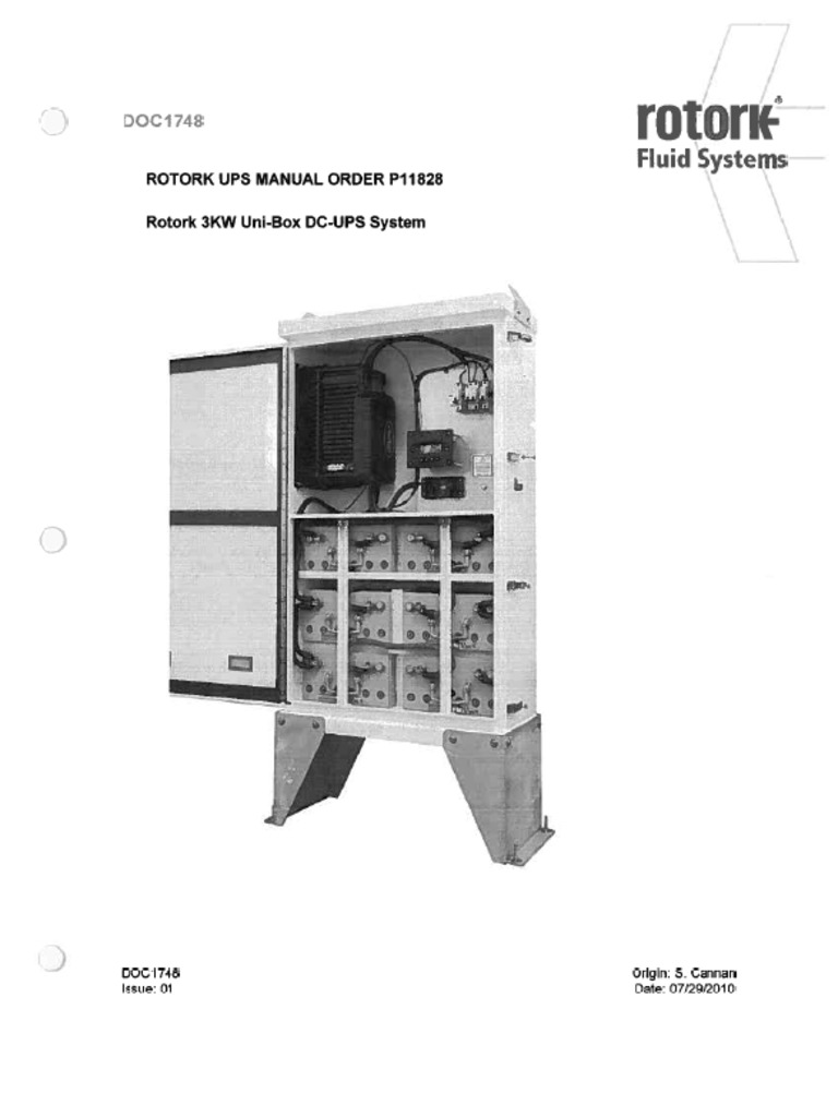 UPS Manual | PDF