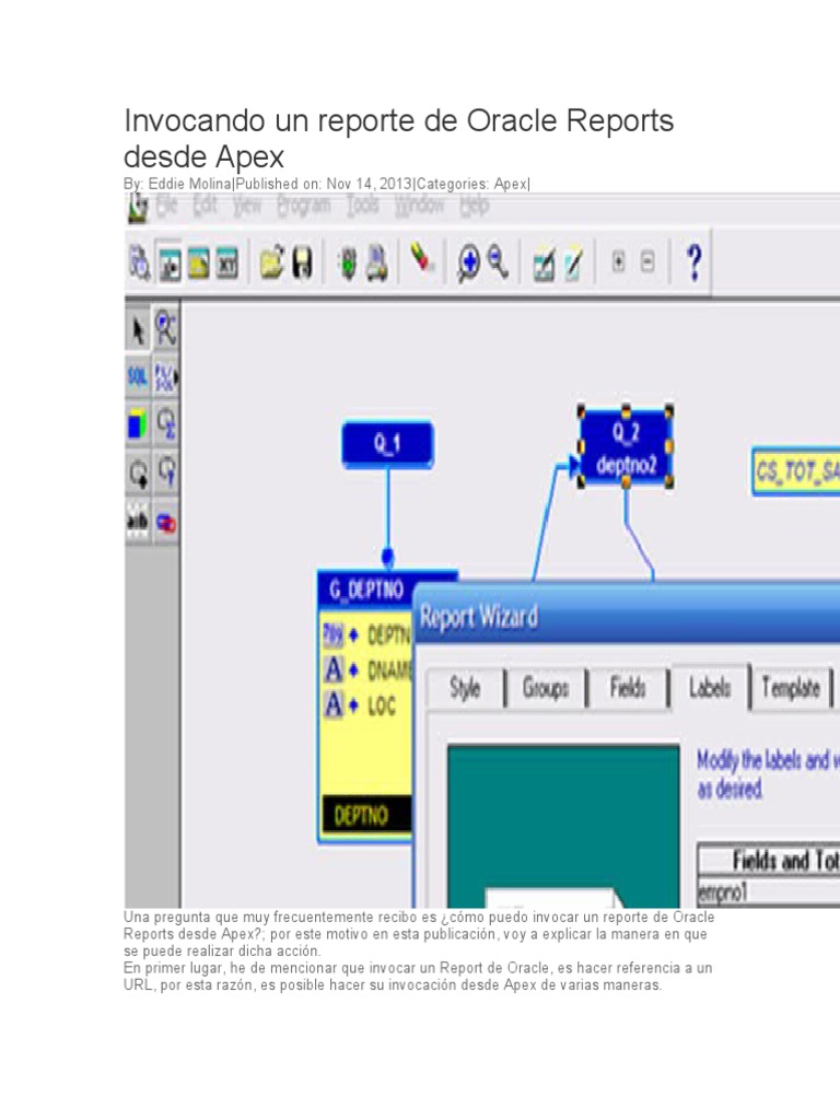 Invocando Un Reporte de Oracle Reports Desde Apex | PDF | Pl / Sql ...