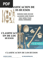 Anatomía de Húmero, Radio y Ulna | PDF | Codo | Hombro