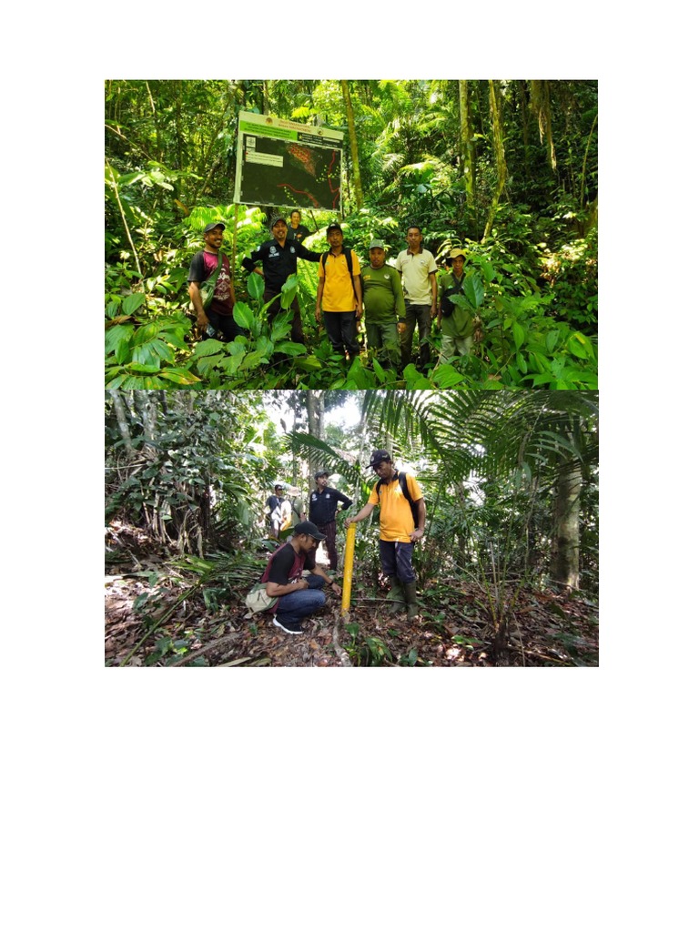 Lokasi Kegiatan SNI 7724 2019 | PDF