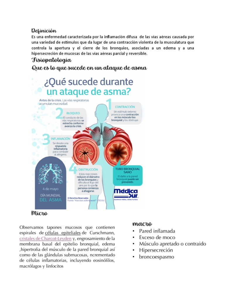 Guía Completa sobre el Asma | PDF | Asma | Medicina CLINICA