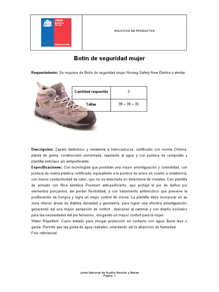 Requerimiento Zapatos-Delantal | PDF | Agua