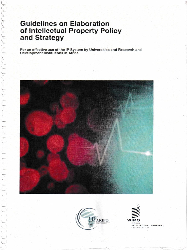 Guidelines On Elaboration of Intellectual Property Policy and Strategy ...