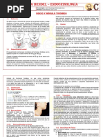 Triangulo de Farabeuf | PDF | Anatomía humana | Cabeza y cuello humanos