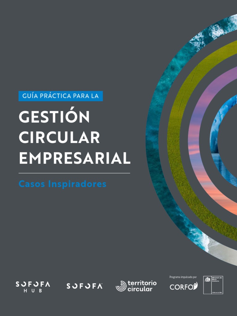 Guia Buenas Practicas de Economia Circular Empresarial | PDF