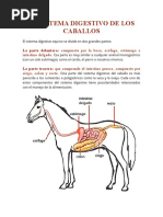 Digestión: Bolo, Quimo y Quilo | PDF | Digestión | Tracto gastrointestinal