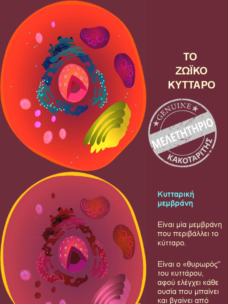Zoiko Kyttaro | PDF