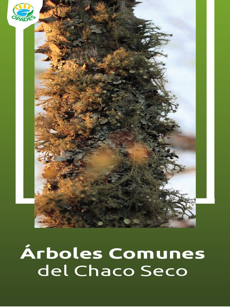 Guía Árboles Comunes Chaco Seco | PDF | Arboles | Plantas