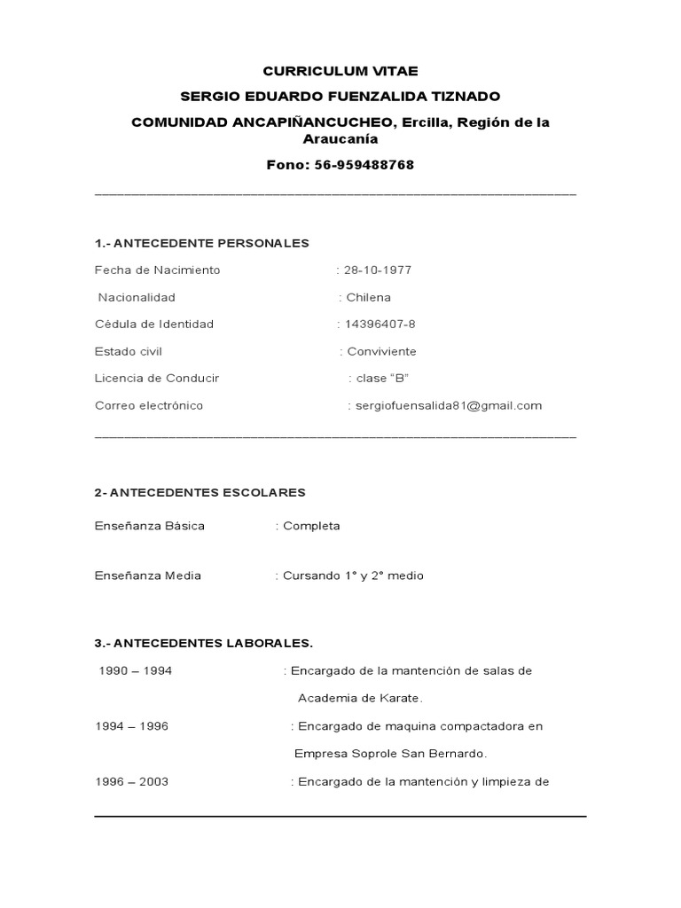 curriculum sergio fuenzalida | PDF