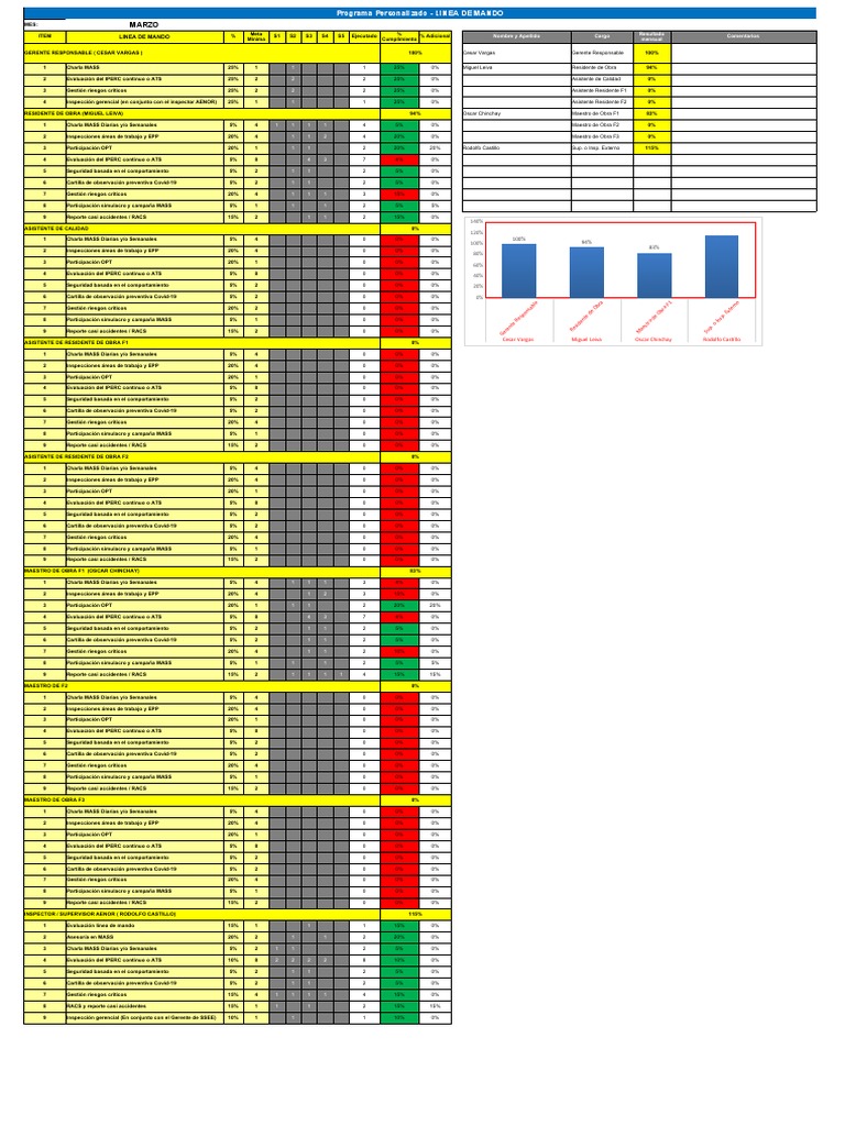 For-05. Programa Personalizado y Sup. Ext v.1 | PDF