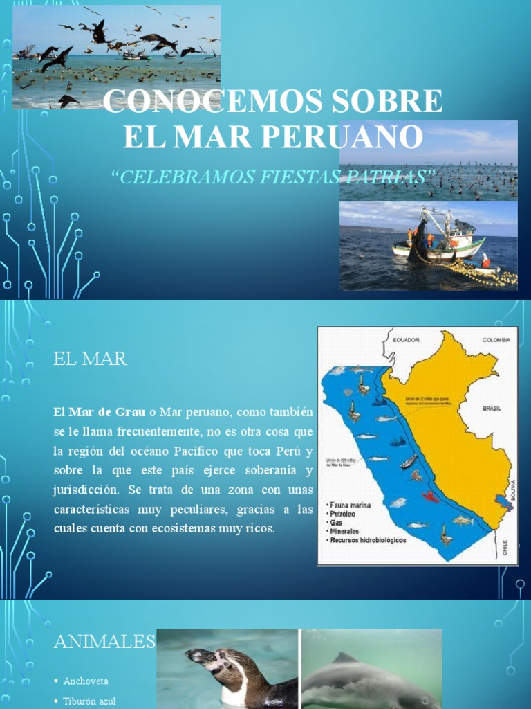 Fauna del Mar Peruano: Ecosistemas Ricos | PDF | Tecnología