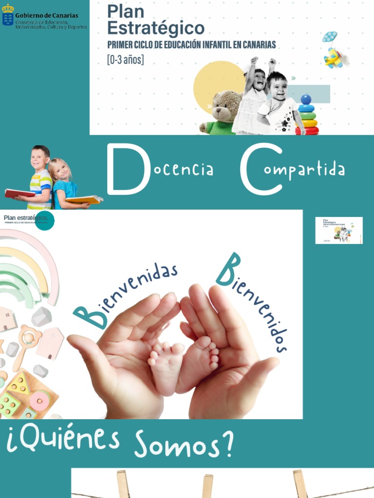 Docencia Compartida | PDF