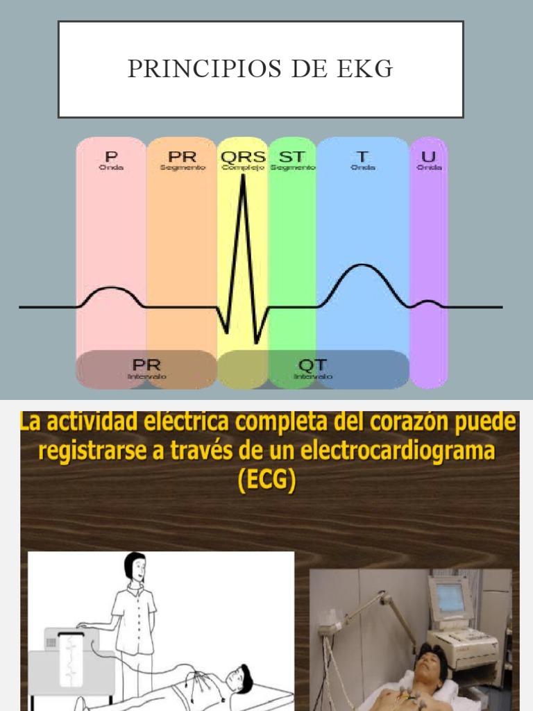 1 Principios de Ekg | PDF | Electrocardiografia | Medicina CLINICA
