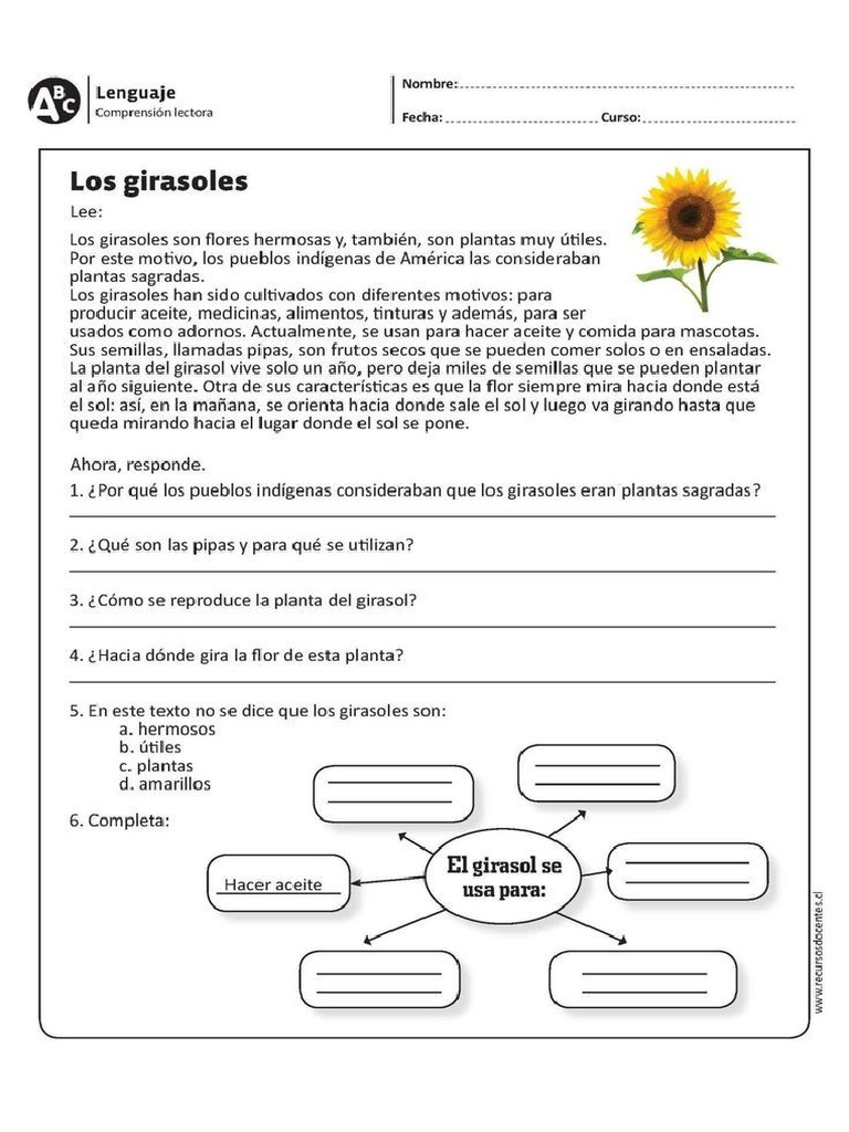 Print-Friendly Healthy and Unhealthy Food Worksheet-2 | PDF