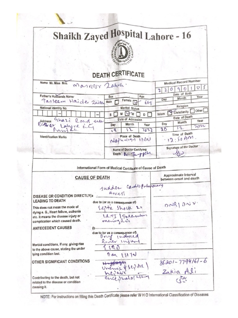 Shaikh Zayed Hospital Lahore - 16 | PDF