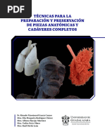 Flora Residente, Flora Transitoria, Transmisión Cruzada y Fómites | PDF ...