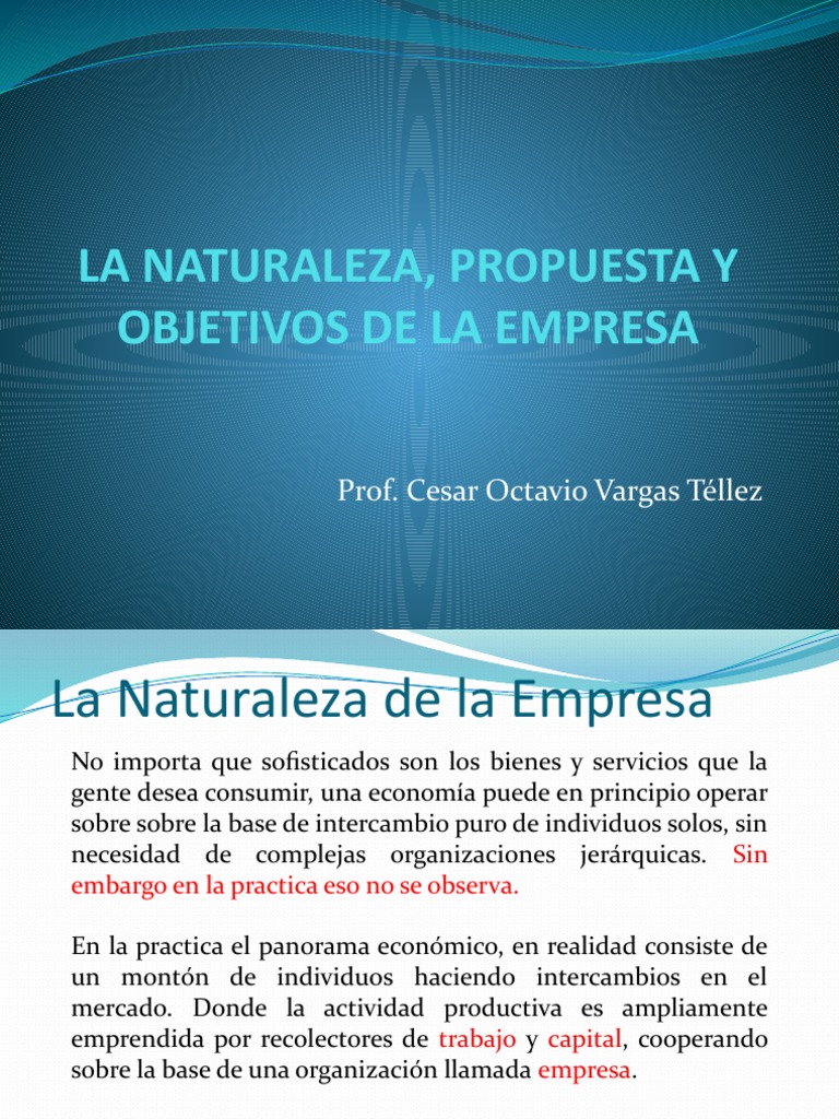 1-La Naturaleza de La Empresa | PDF | Business | Valor añadido