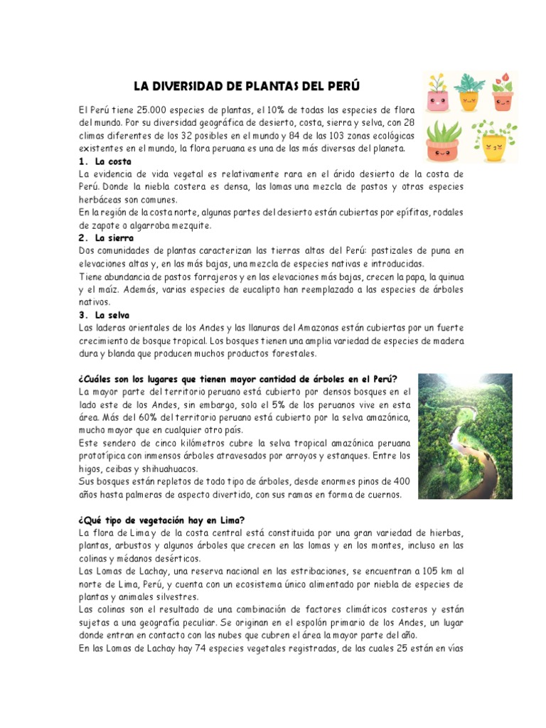 Ficha Informativa La Diversidad de Plantas Del Perú | PDF | Quinua | Perú