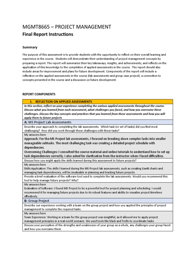 Final Report Sid Pdf Project Management Risk Management