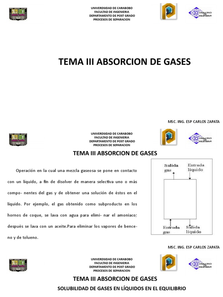 Absorción de Gases en Procesos de Separación | PDF | Absorción (Química ...