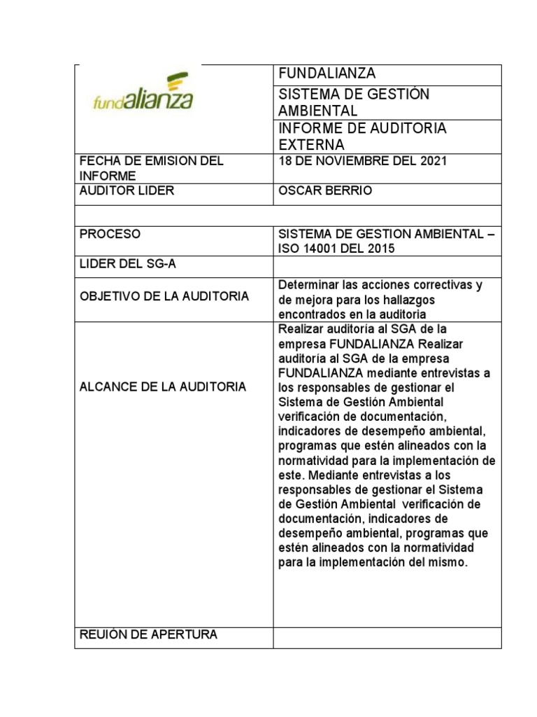 Informe de La Auditoria | PDF | Auditoría | Business