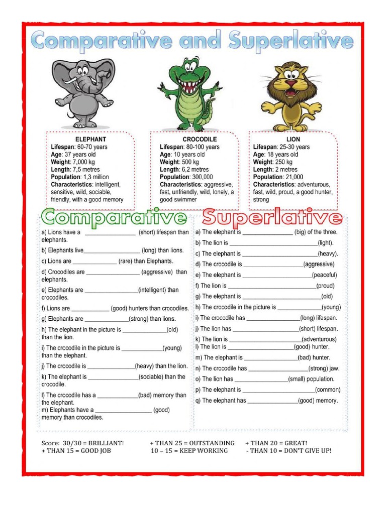 Adjectives Homework | PDF