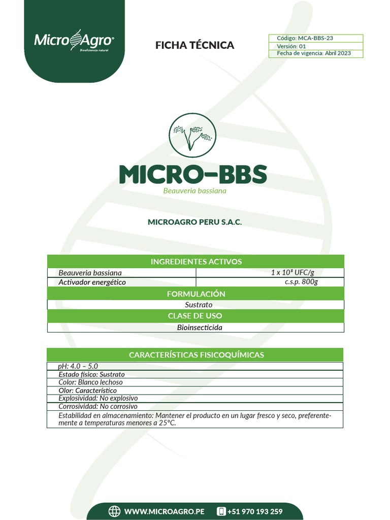 Micro BBS F.T | PDF