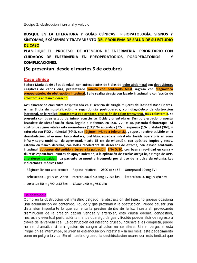 Equipo 2 Obstrucción Intestinal Y Volvulo Pdf Intestino Grueso