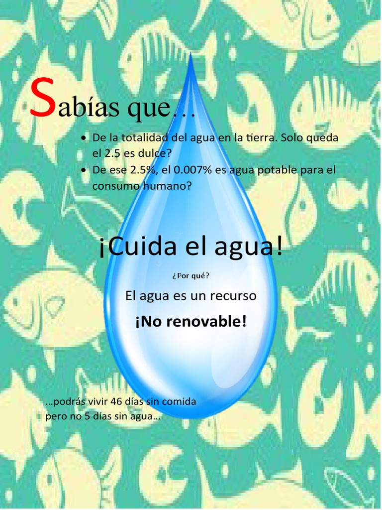 Afiche Del Agua | PDF