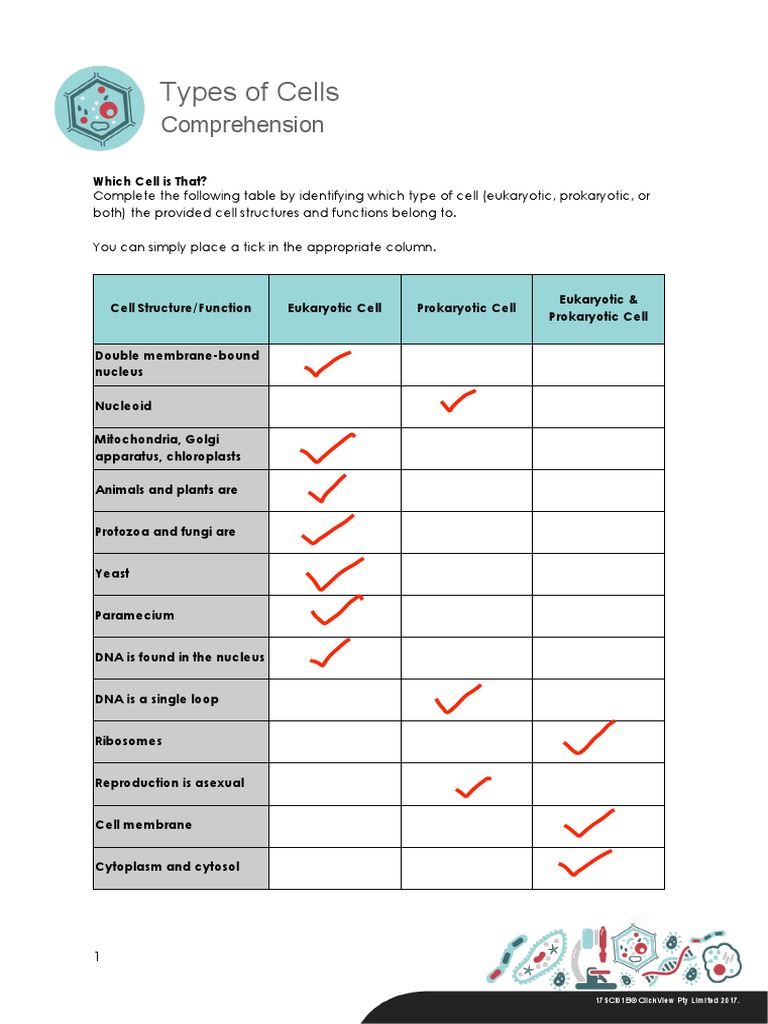 03types of Cells Clickview Questions | PDF