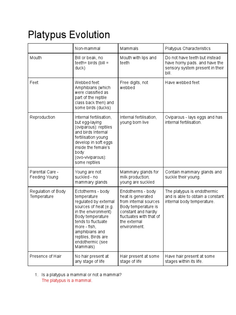 Platypus Evolution | PDF