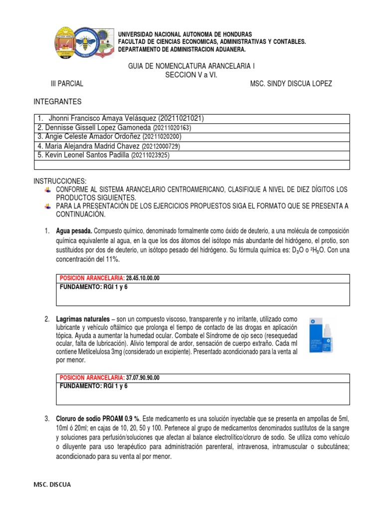 Guía Práctica "Secciones V y VI" | PDF | Cemento | Agua