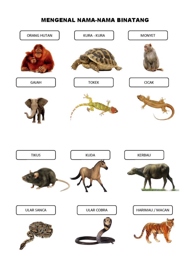 Mengenal Nama Binatang | PDF
