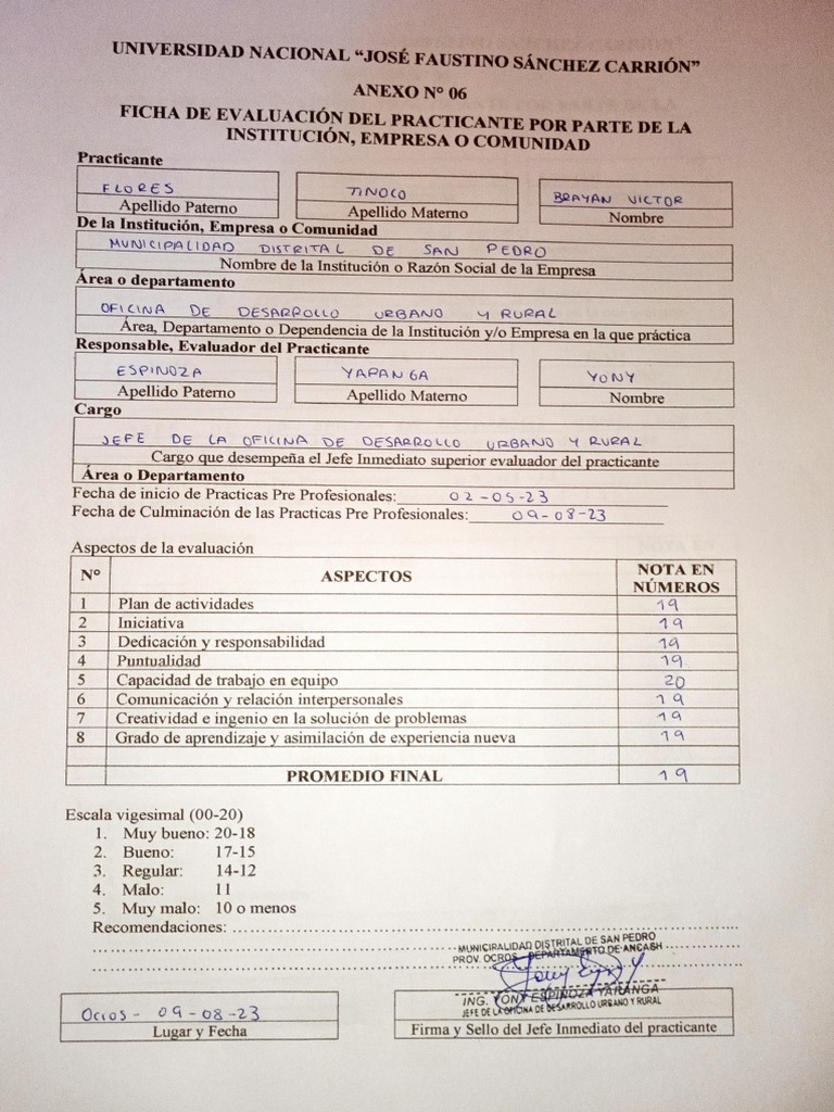 Anexos Brayan Flores | PDF