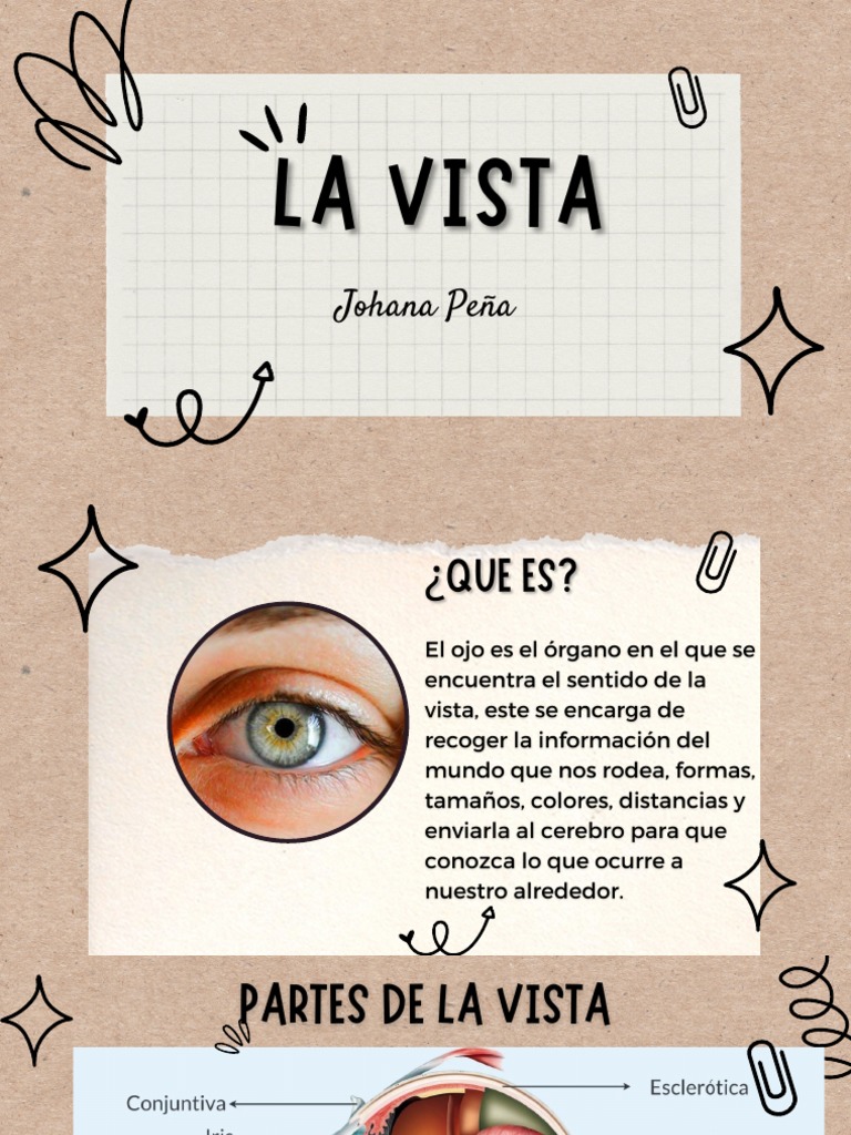 Presentacion LA VISTA | PDF | Ojo humano | Percepción visual