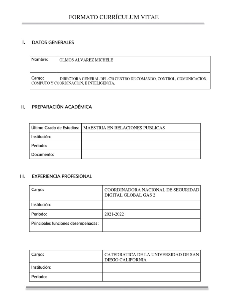 Currículum Olmos Alvarez Michel | PDF