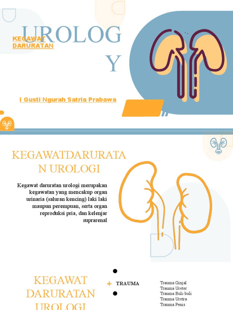 Kedaruratan Urologi | PDF