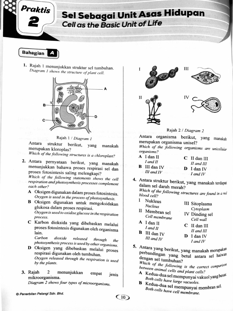 MODUL TOPIKAL SET 1 C2 F1_024202 | PDF